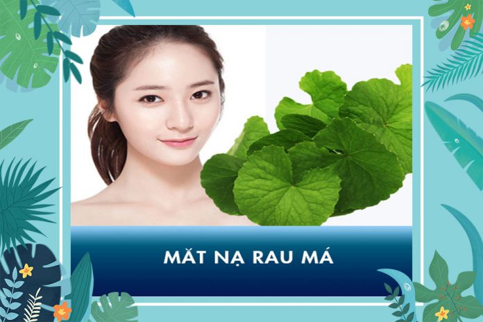 [Chia sẻ] Top 9 cách làm mặt nạ rau má trị mụn tuyệt nhất cho chị em