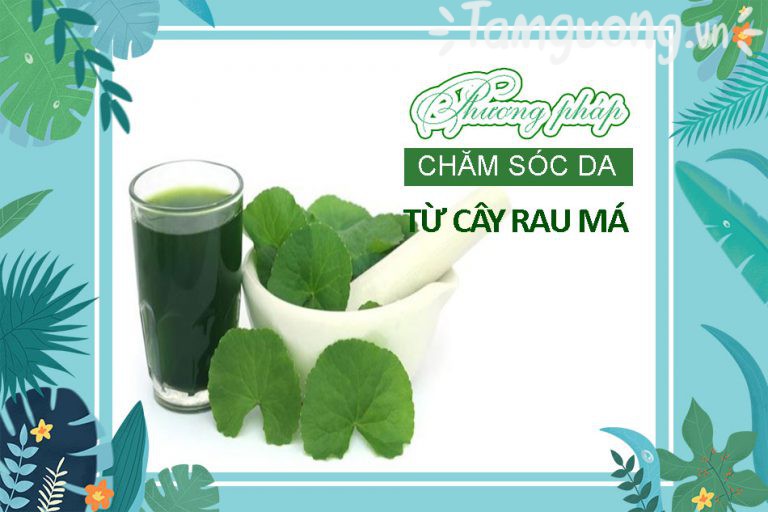 [Chia sẻ] Top 9 cách làm mặt nạ rau má trị mụn tuyệt nhất cho chị em